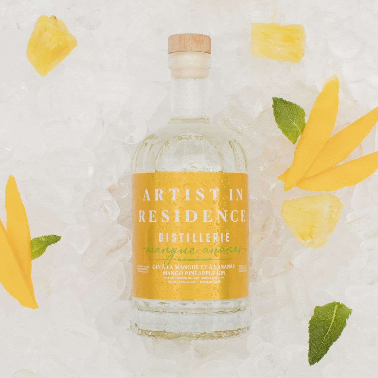 Our gins | Artist in Residence Distillerie
